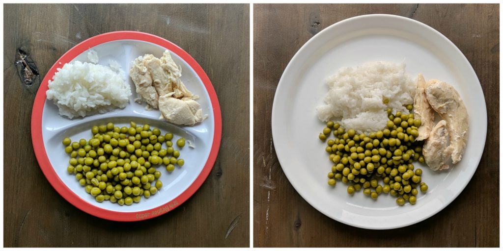 Portion Control Plate vs. Dinner Plate {Research results!} - Health Beet