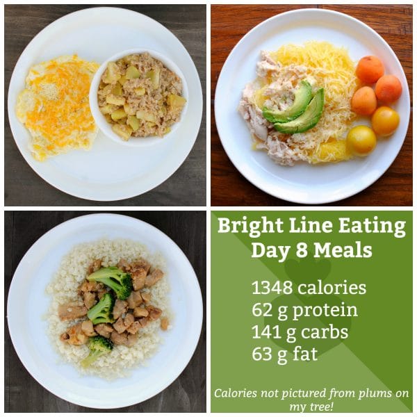 What is Bright Line Eating? How I Lost 7 lbs in 7 Days - Health Beet