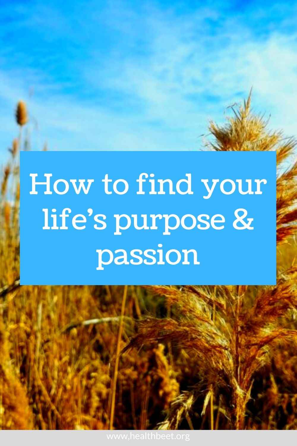 Live Your Life and Your Passion Will Find You - Health Beet