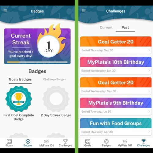 MyPlate App Review Health Beet myplate-app-review-health-beet