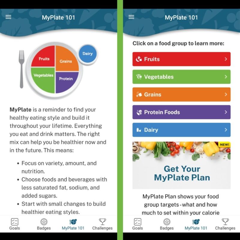MyPlate App Review - Health Beet
