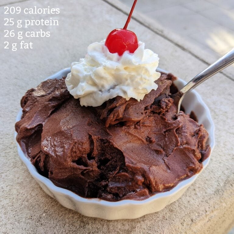 2 Ingredient Chocolate Protein Ice Cream - Health Beet