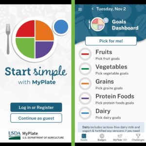 MyPlate App Review - Health Beet