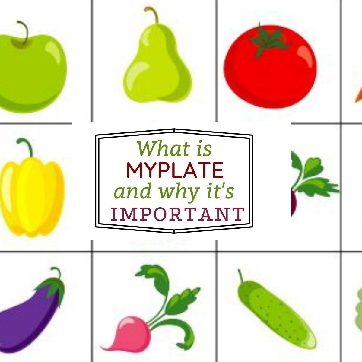 What Is MyPlate And Why It s Important Health Beet