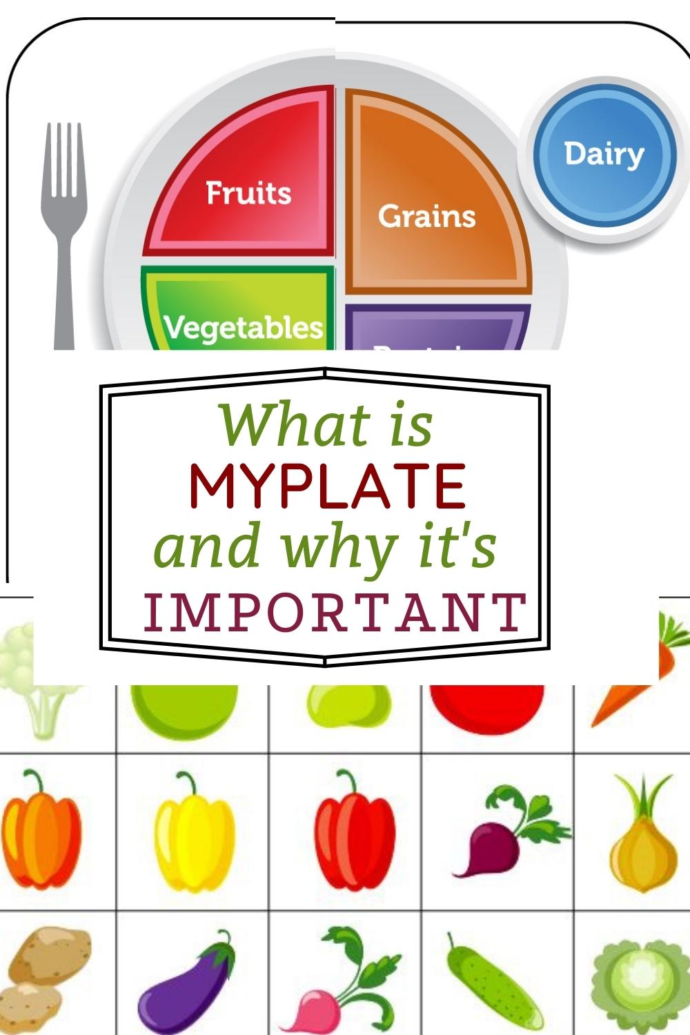 What Is MyPlate And Why It s Important Health Beet