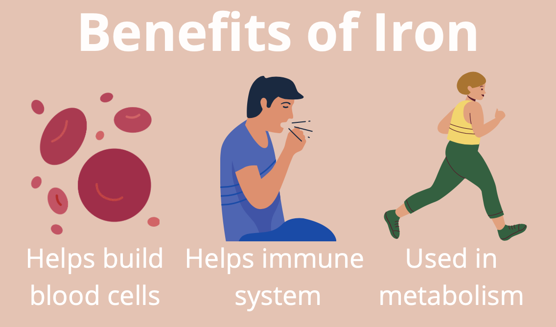 Iron Rich Food List With a Printable - Health Beet