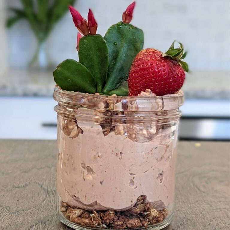 Earth Day Chocolate Protein Pudding Cups - Health Beet