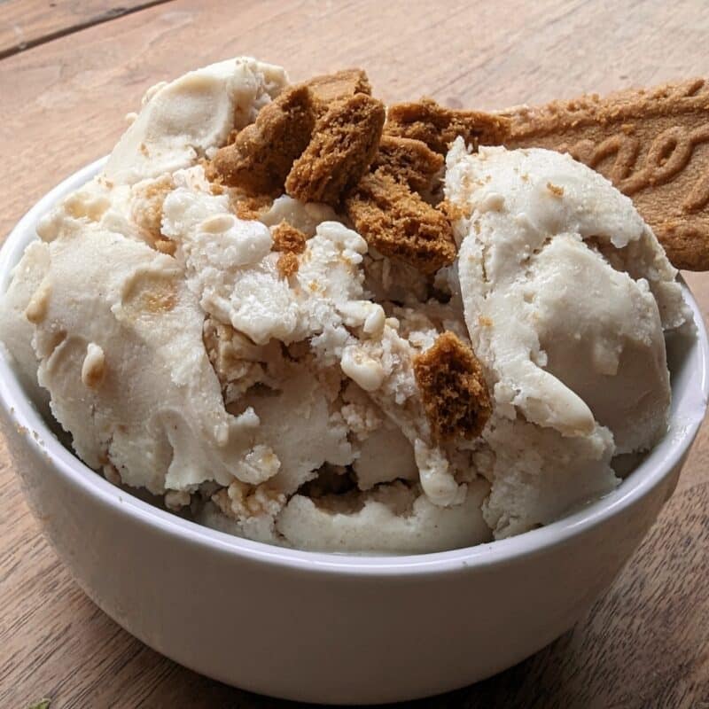 Eggnog Biscoff Protein Ice Cream {Clean Simple Eats Recipe} - Health Beet
