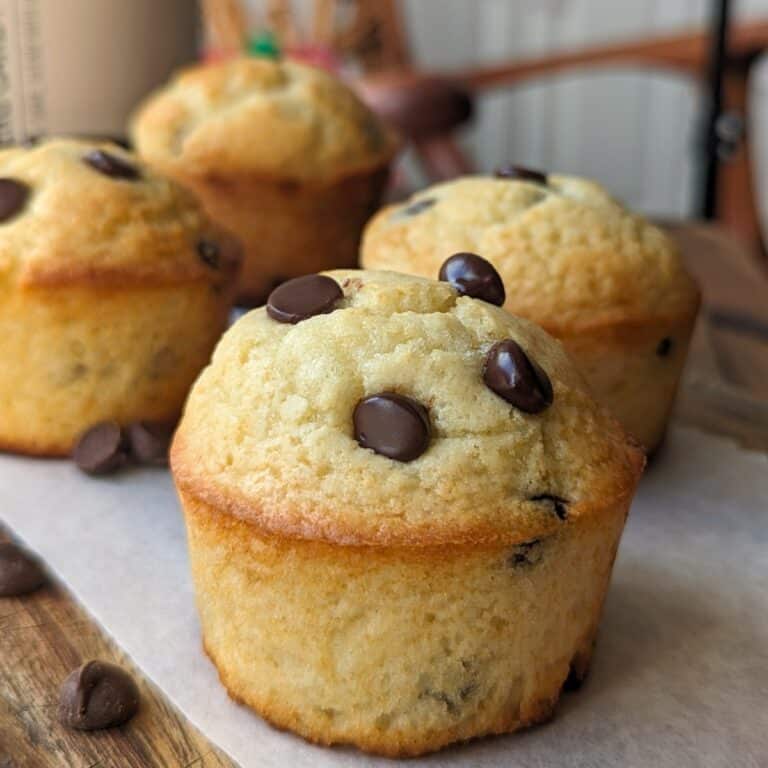 Protein Chocolate Chip Muffins {Baking with Protein Powder} - Health Beet