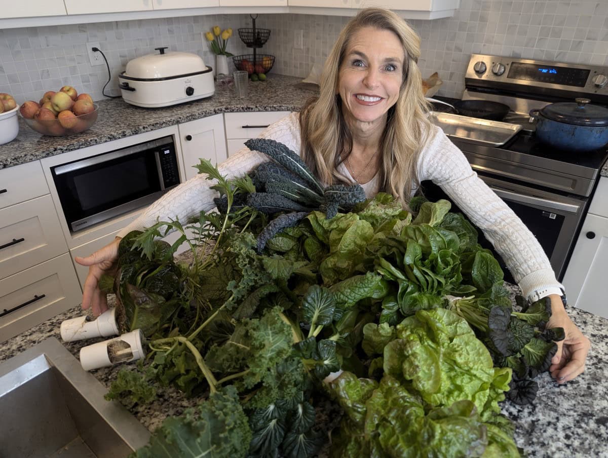 Fresh Green Salad Every Day! My Indoor Hydroponic Gardyn Review ...
