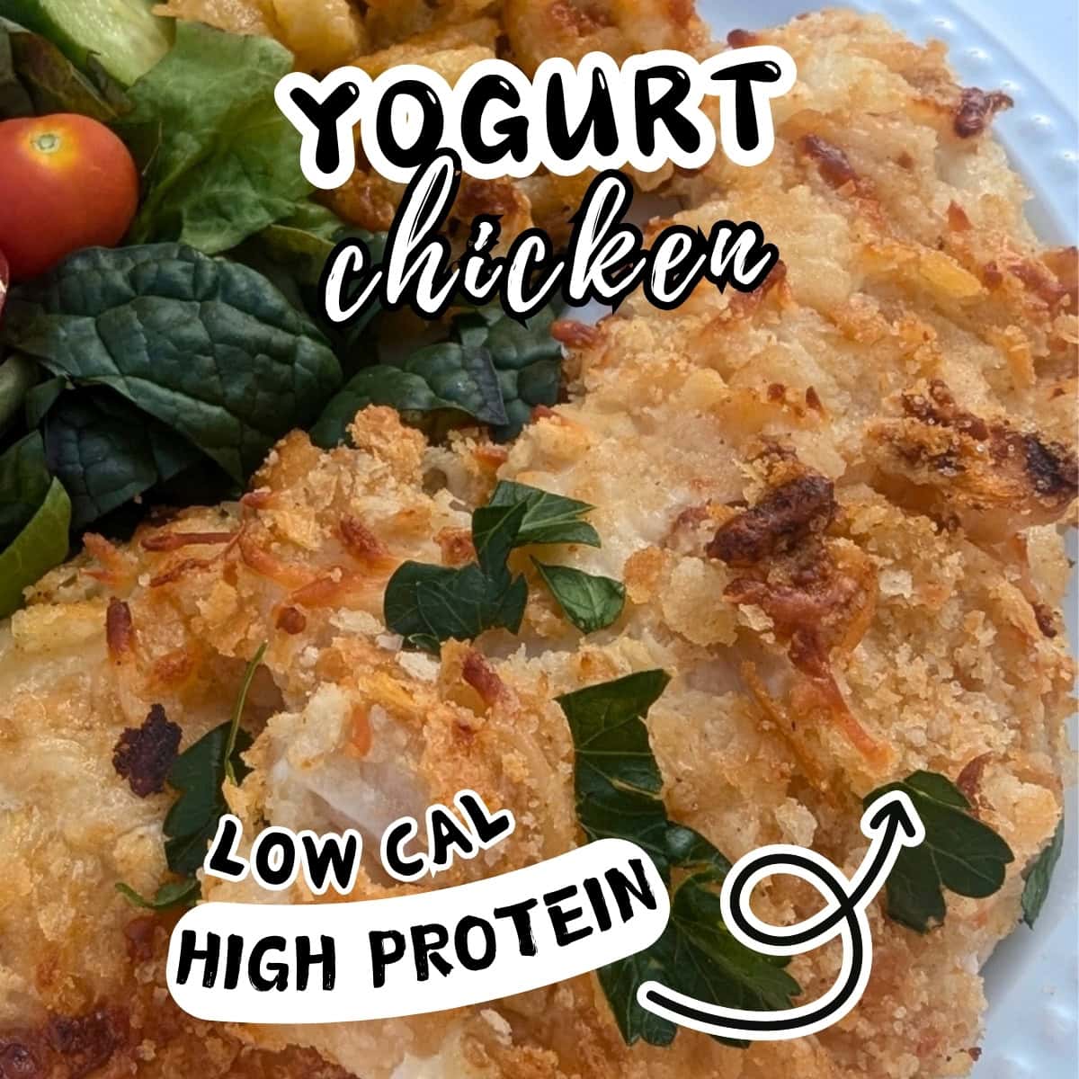 Protein-Packed Yogurt Parmesan Chicken Recipe for One | Low-Calorie ...
