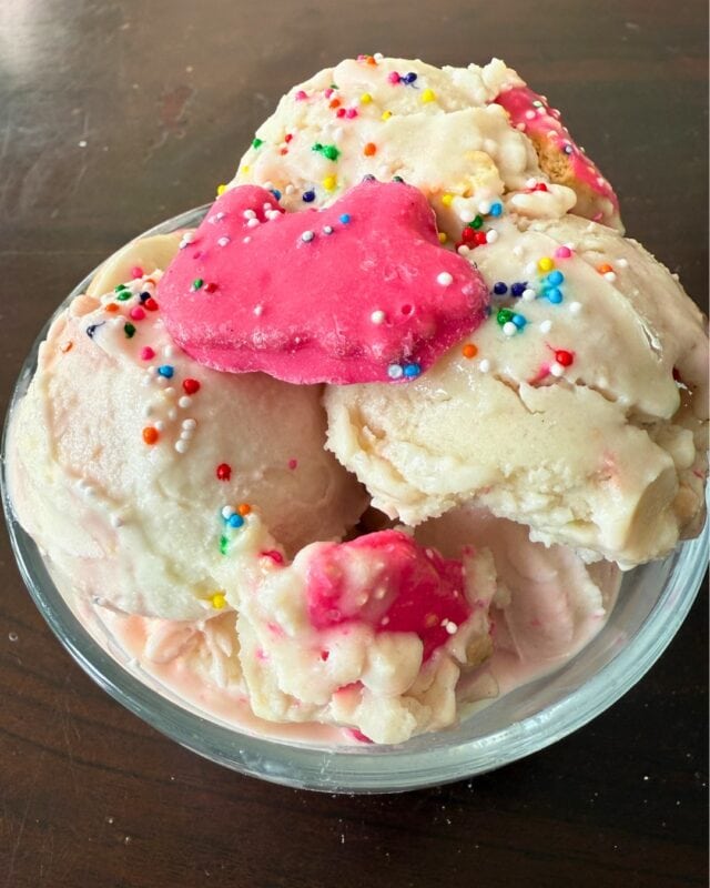3 Ingredient Circus Animal Protein Ice Cream {Ninja CREAMi} - Health Beet