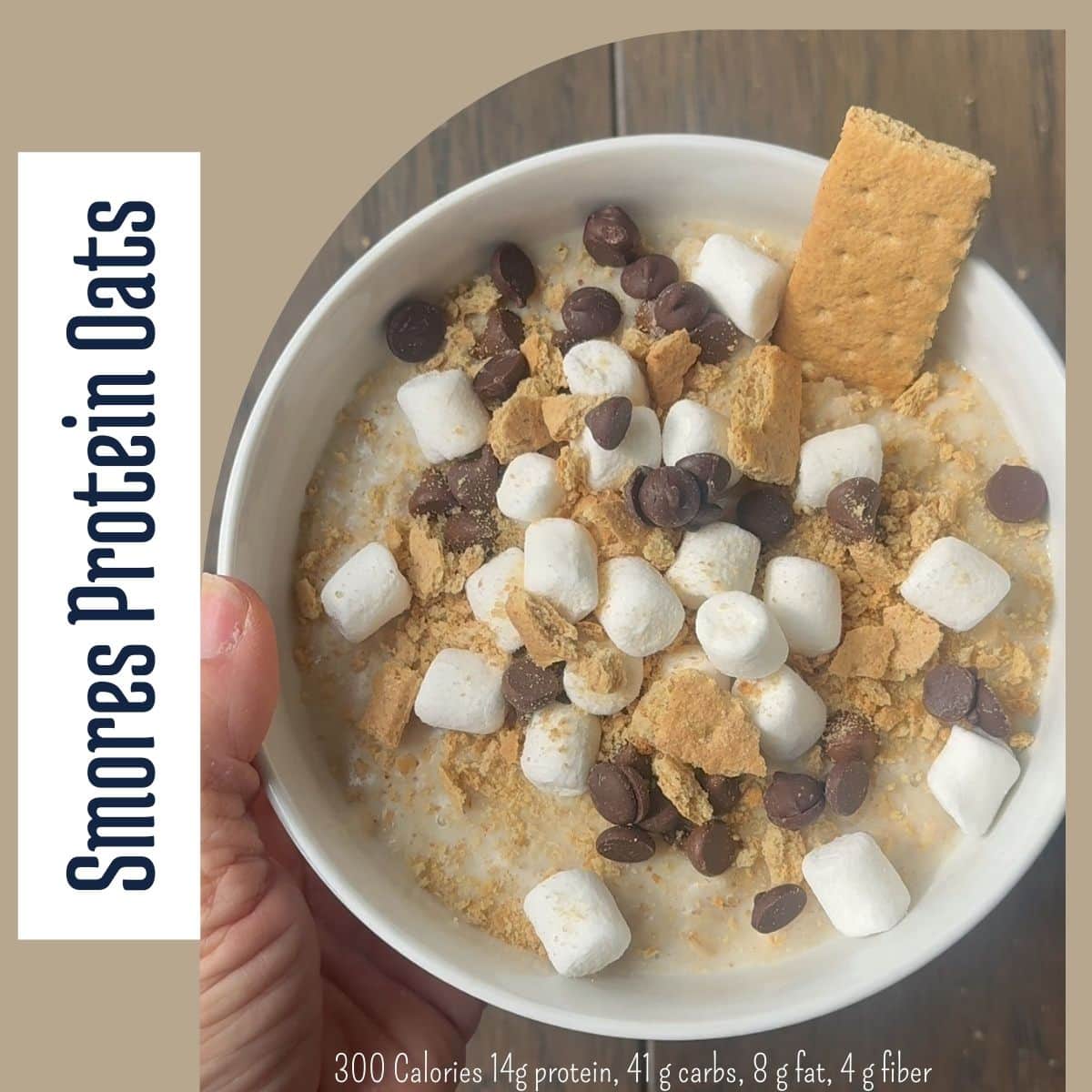 Smores Protein Oatmeal - Health Beet